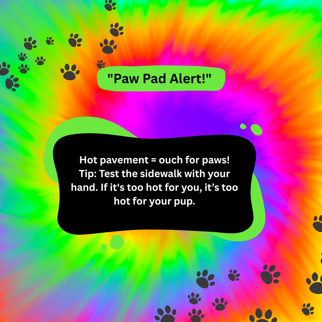“Paw Pad Alert!” Vroom Grooms, LLC