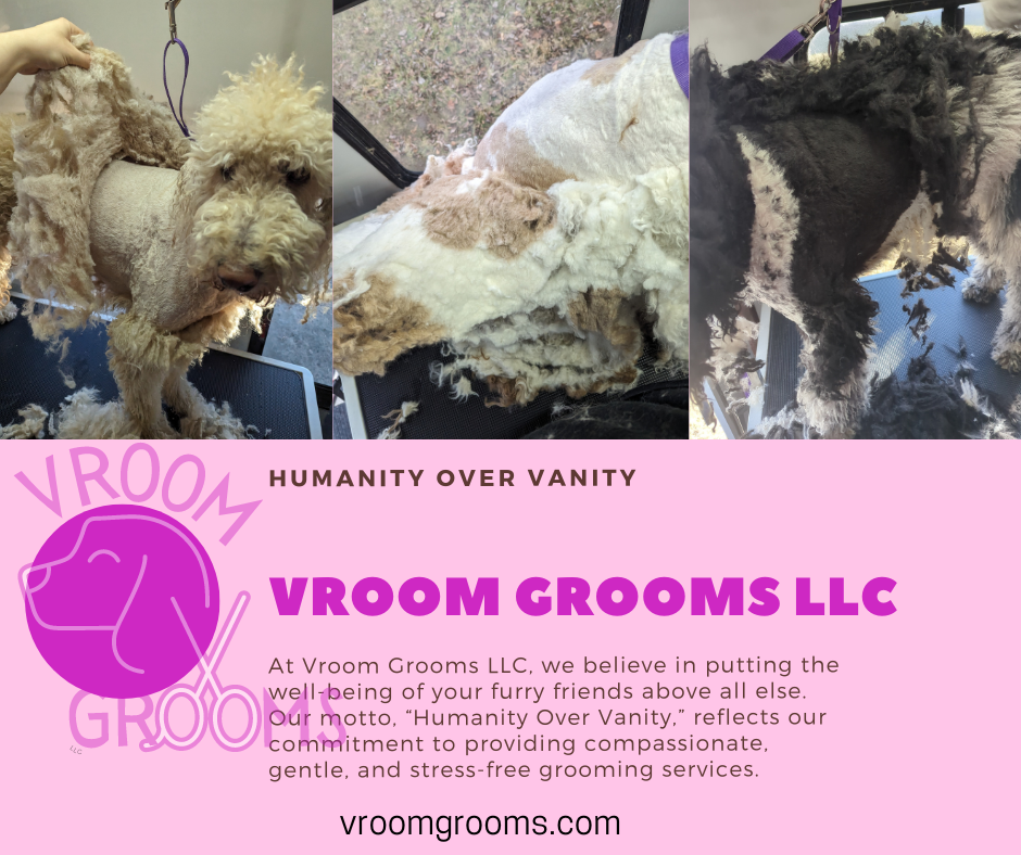 What kind of groomers are we? Vroom Grooms, LLC