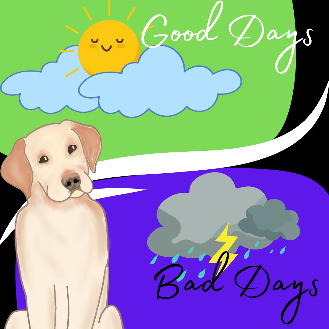 🐾 Dogs Have Their Days Too! 🐶💖 Vroom Grooms, LLC