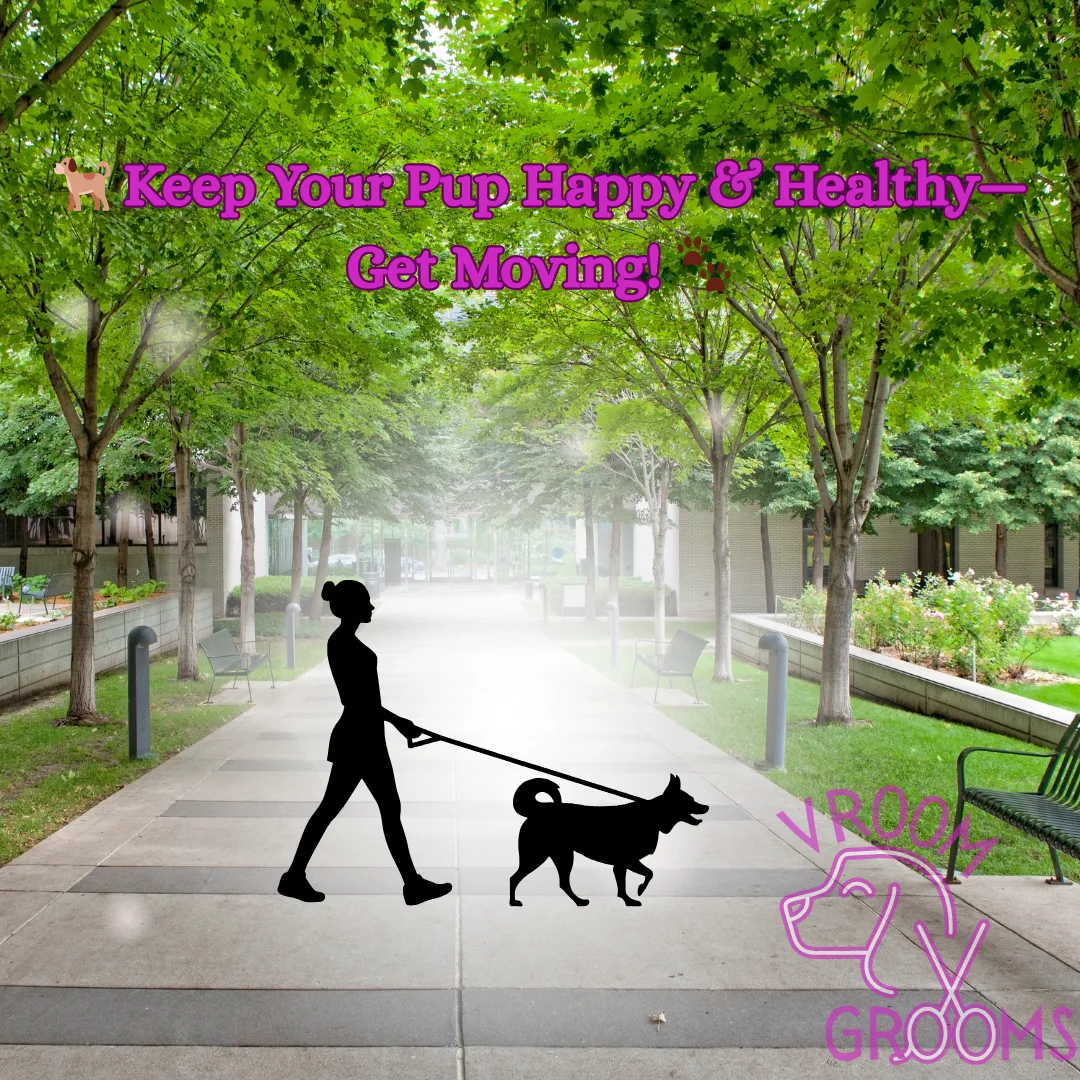 🐕 Keep Your Pup Happy & Healthy—Get Moving! 🐾 Vroom Grooms, LLC