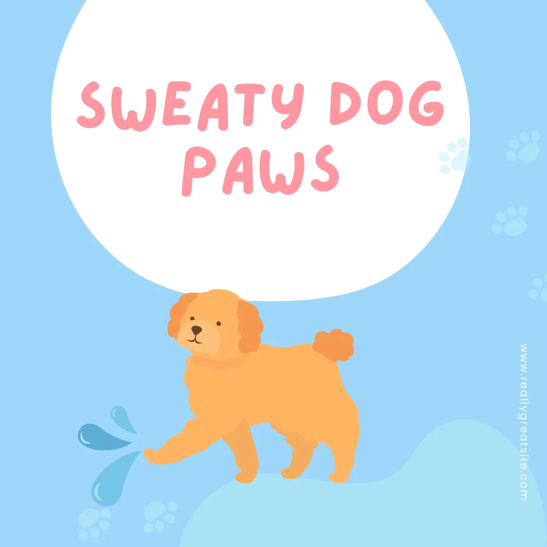🐾 Sweaty Paws & Cool Canines 🌬️🐶You might be sweating through your ...